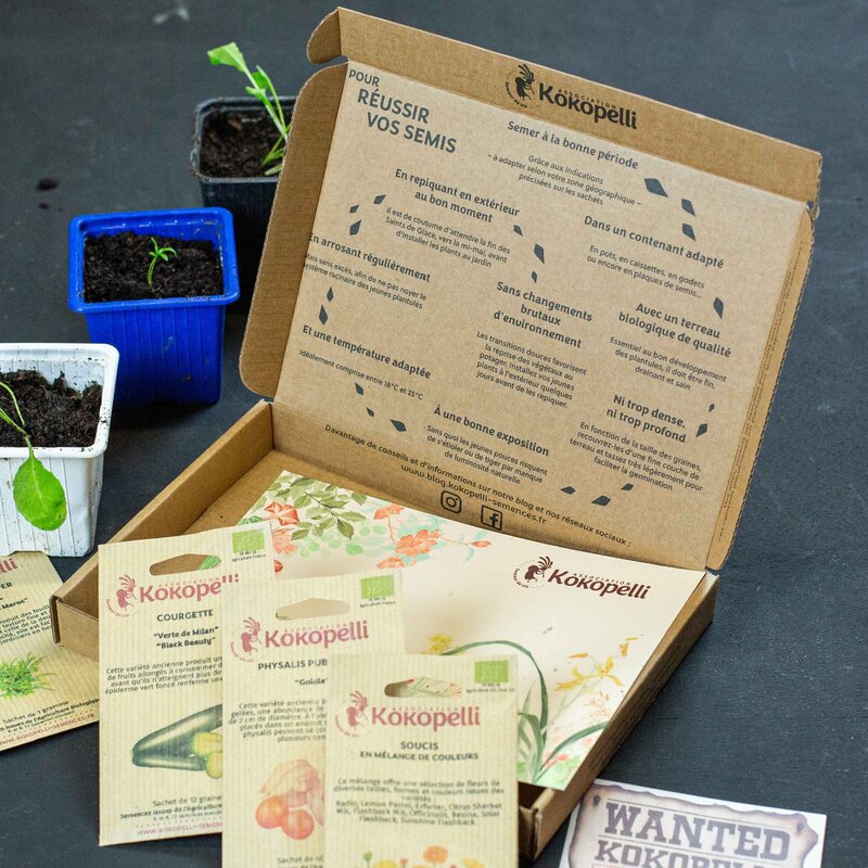 Heirloom Box of seeds - On the road to diversity Seeds boxes Organic Seeds