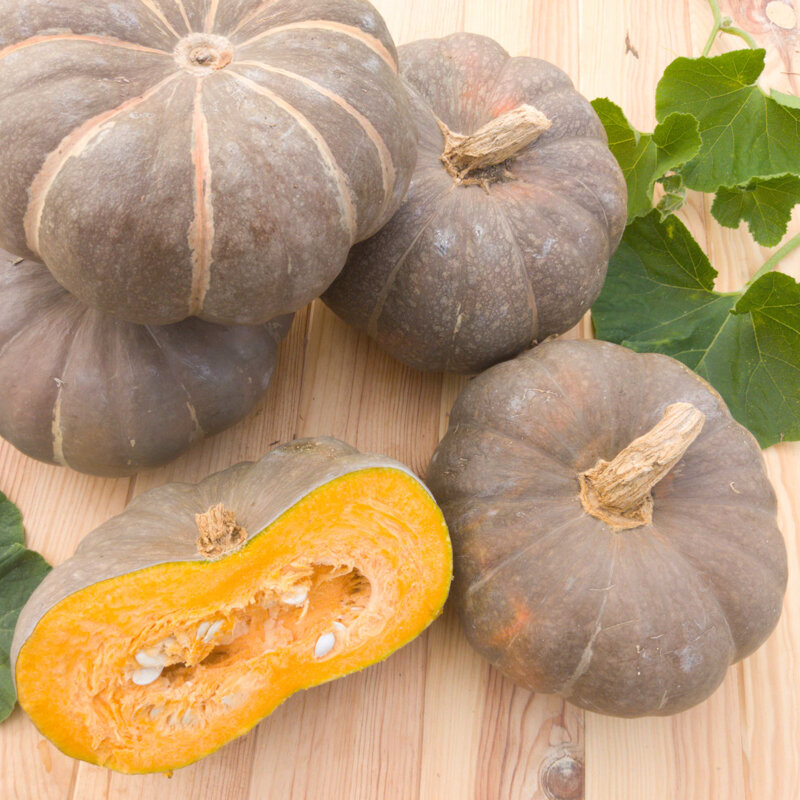 Maxima squash - Strawberry Crown | Association Kokopelli