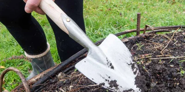 Planting tools - Great Dixter" pointed spade 56 cm
