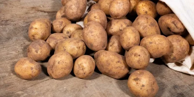 Potatoes - Organic Bintje potato - size 28/35