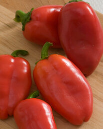 Heirloom Lunchbox Red Peppers Organic Seeds