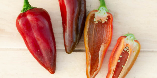 Heirloom Stocky Red Roaster Peppers Organic Seeds