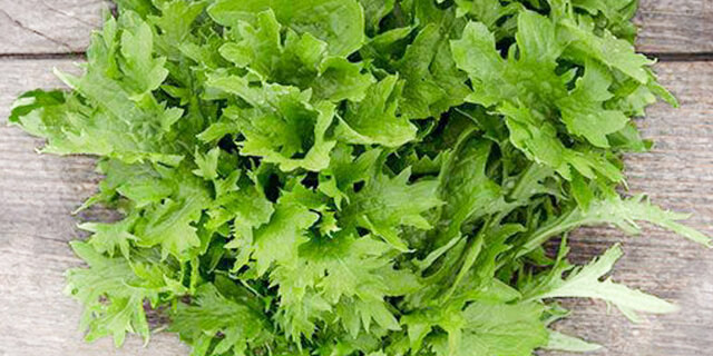 Heirloom Wasabina Japanese mustards Organic Seeds