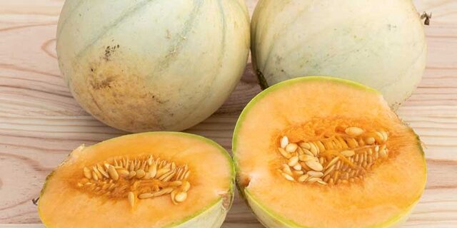 Heirloom Diamex Melons Organic Seeds