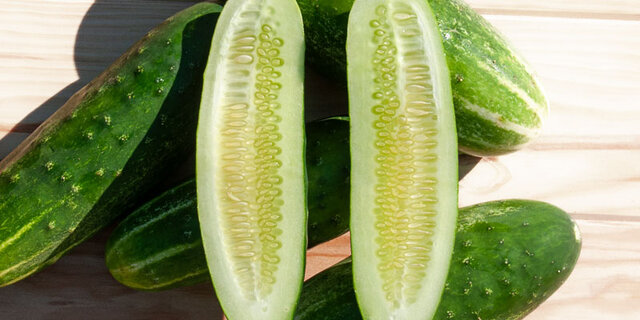 Heirloom Early Fortune Cucumbers Organic Seeds