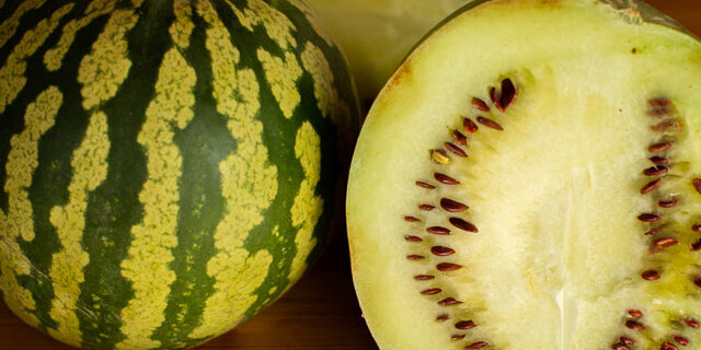 Heirloom Red Seeded Citron melon Watermelons Organic Seeds
