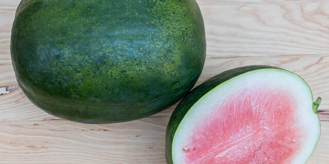 Heirloom Verona Watermelons Organic Seeds