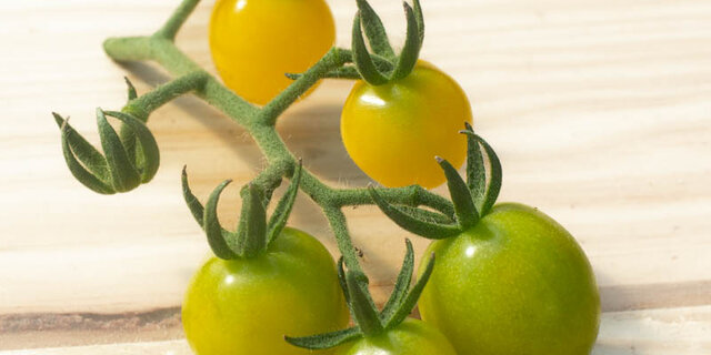 Heirloom Lemon Drop Cherry tomatoes Organic Seeds