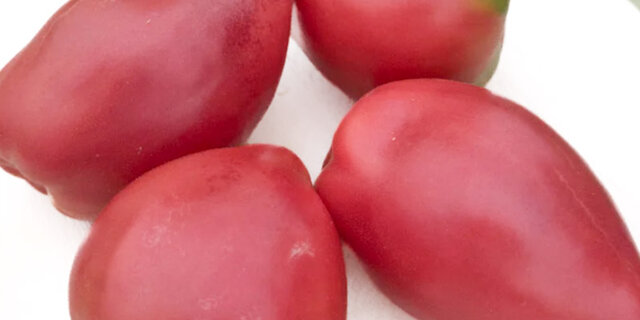 Heirloom German Red Strawberry Tomatoes Organic Seeds