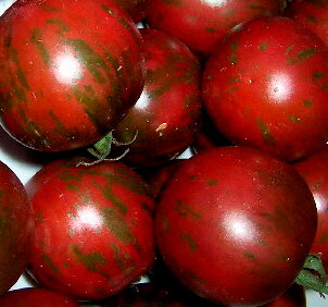 Heirloom Jasper Violet Tomatoes Organic Seeds