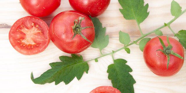 Heirloom Maritime Pink Tomatoes Organic Seeds