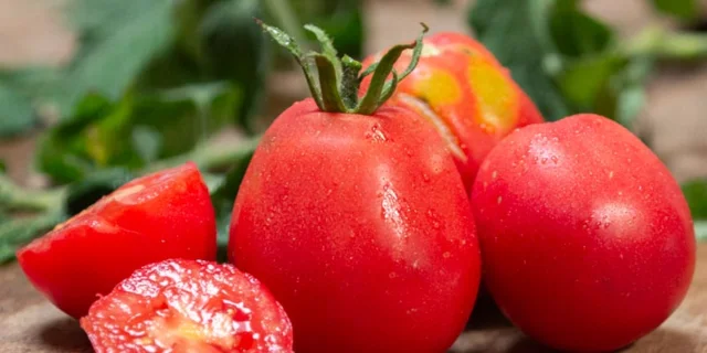 Heirloom Ukrainian Pear Tomatoes Organic Seeds