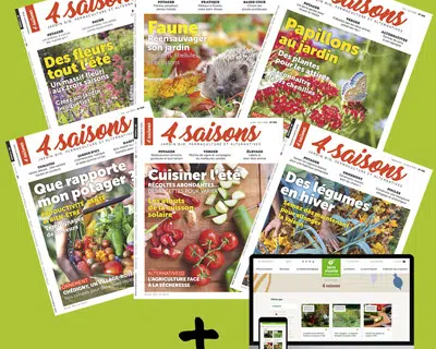 Magazine subscriptions - 4 Seasons Magazine subscription