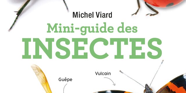 Biodiversity - Insect mini guide