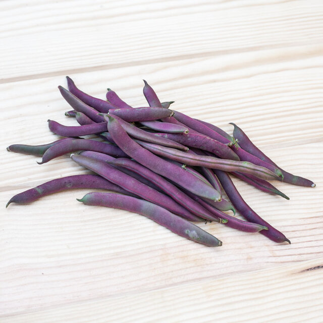 Common beans - Red Swan | Association Kokopelli