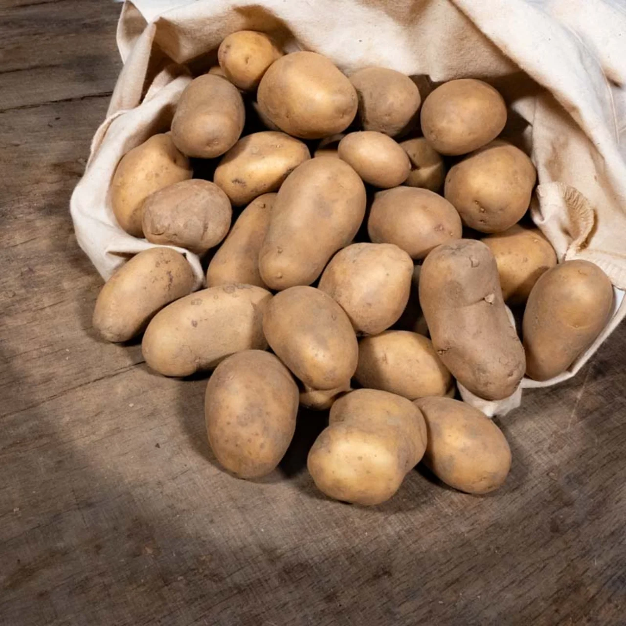 Potatoes - Organic Charlotte potato - size 25/35