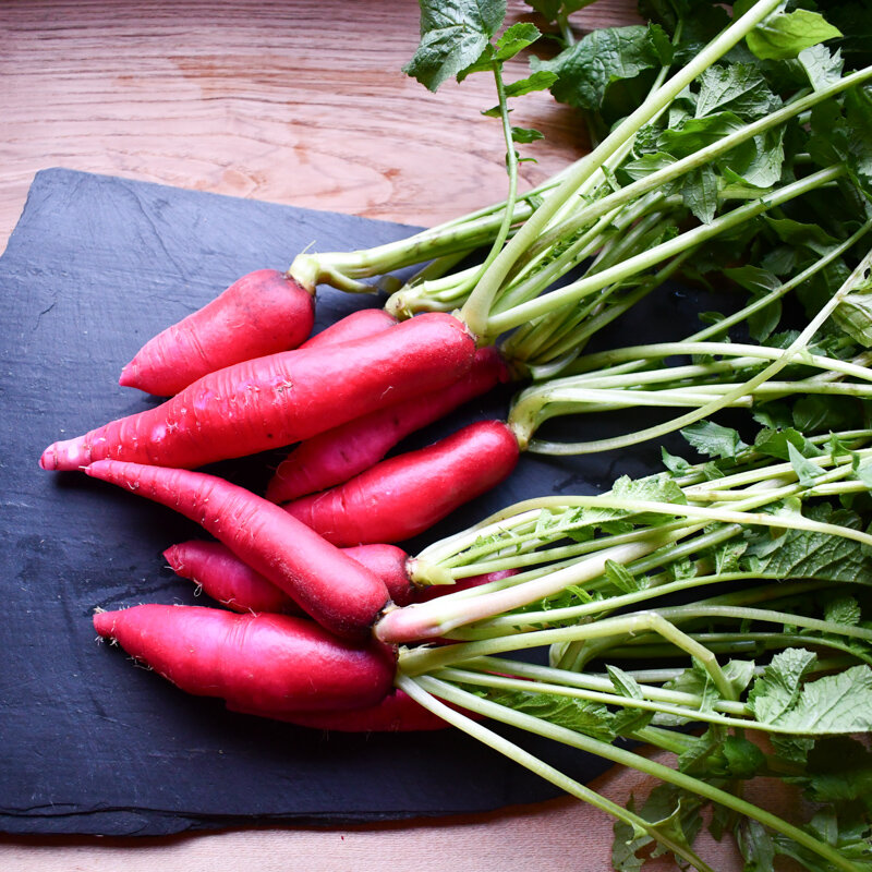 Heirloom Autumn and Winter Blue Radish Organic Seeds