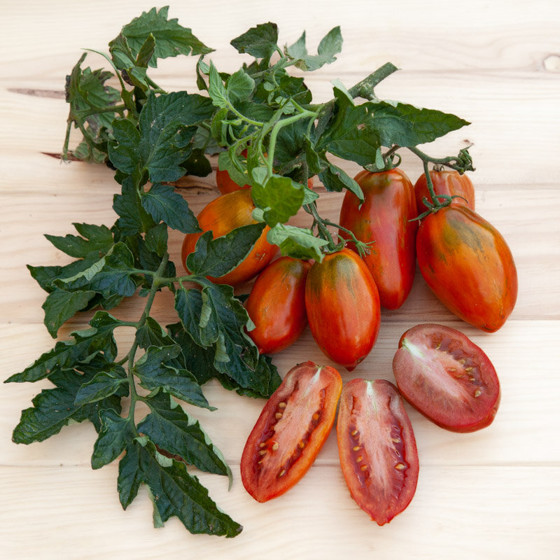 Heirloom Boxer Rebellion Tomatoes Organic Seeds