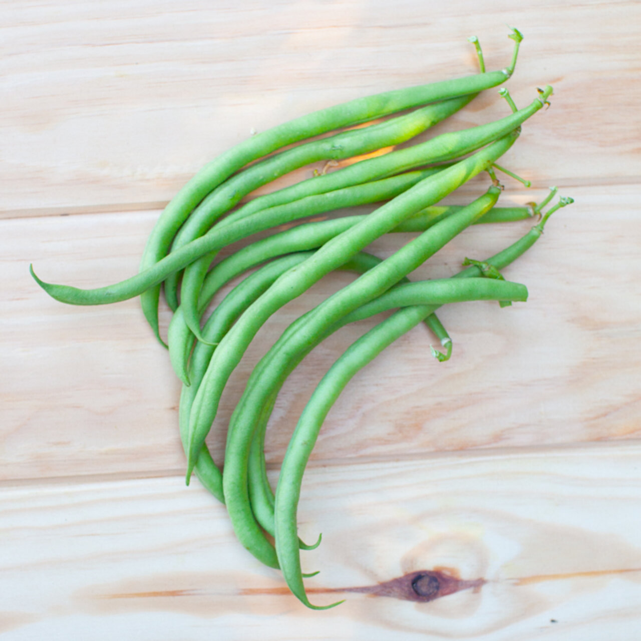 Heirloom Cupid Common beans Organic Seeds