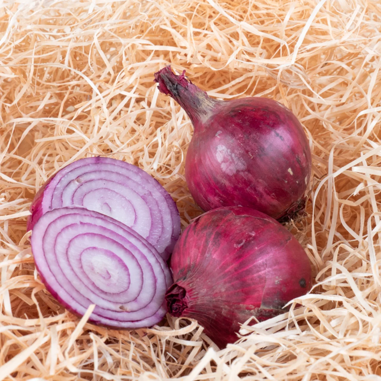 Heirloom Red Baron Onions Organic Seeds