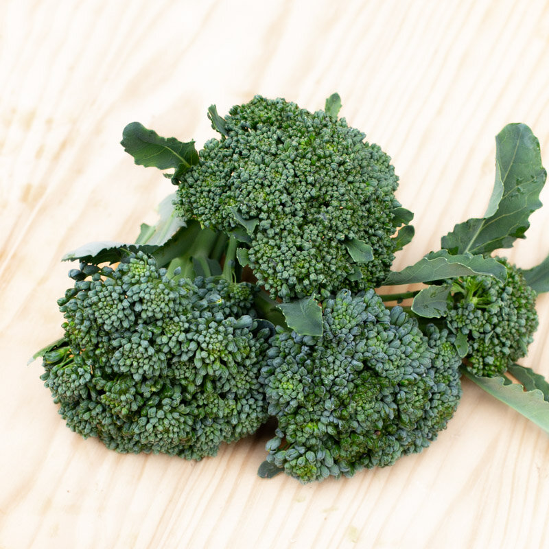 Heirloom De Cicco Broccoli Organic Seeds