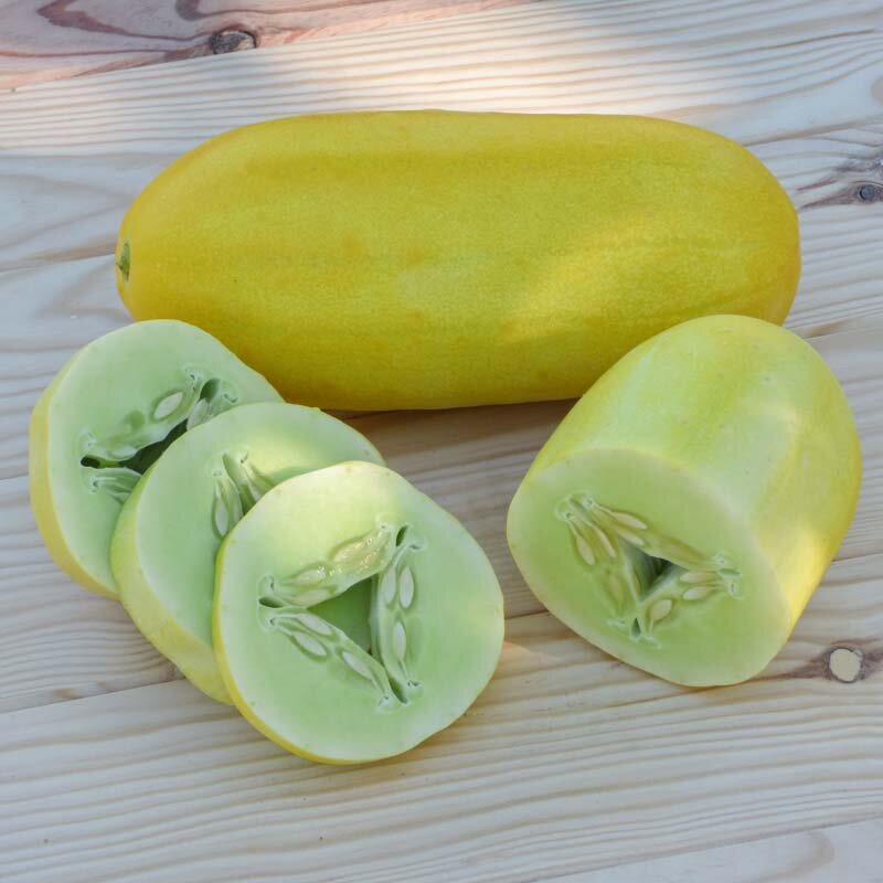 Heirloom Hmong Red Cucumbers Organic Seeds