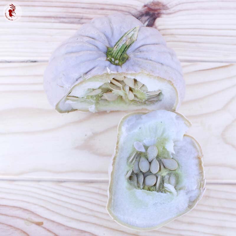 Heirloom Baby Boo Pepo squash Organic Seeds
