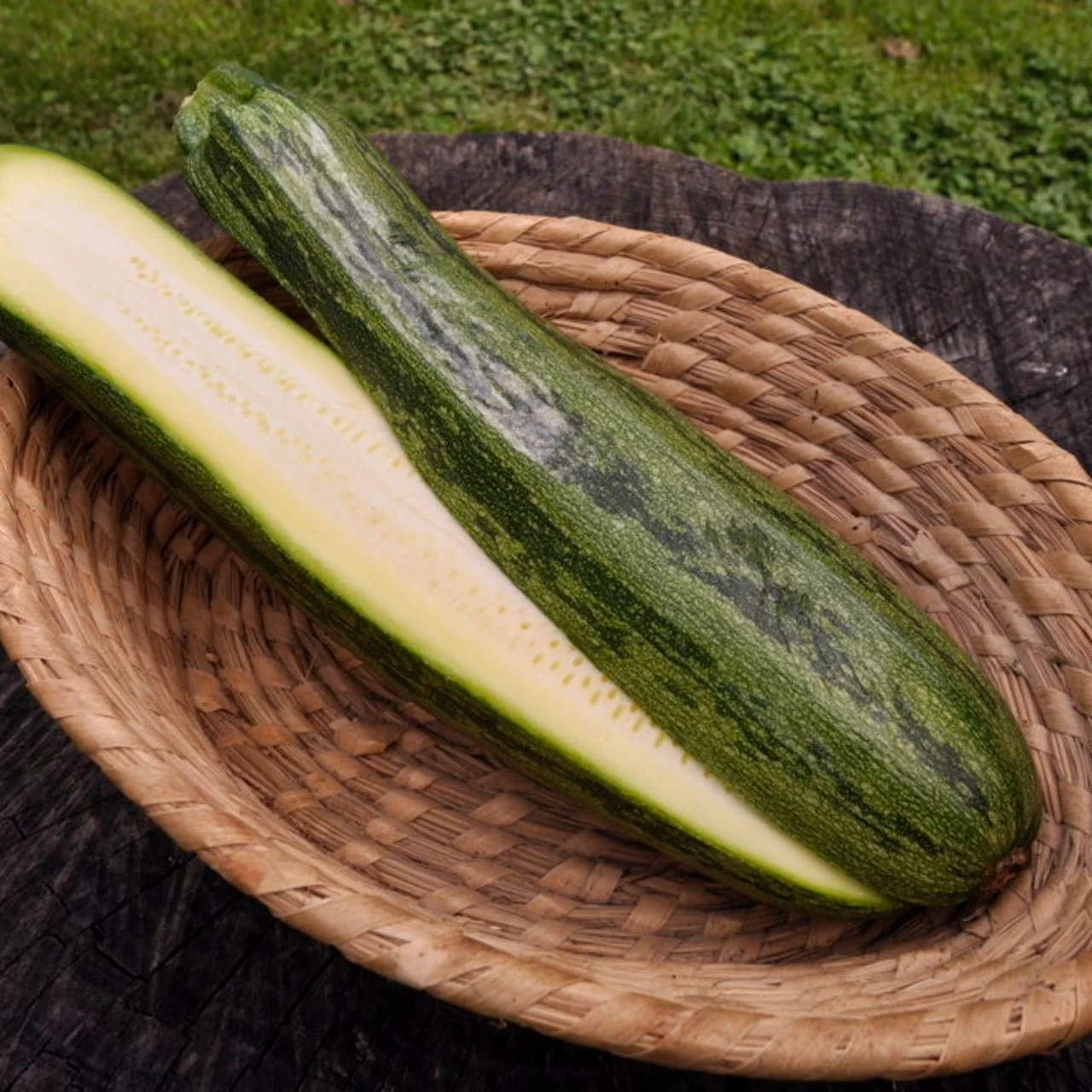 Heirloom Nimba Zucchinis Organic Seeds