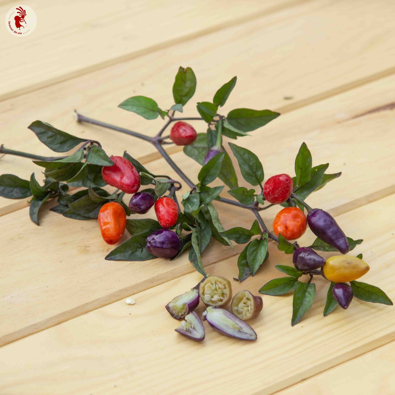 Heirloom Chinese Five Colors Peppers Organic Seeds