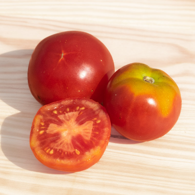 Heirloom Stupice Tomatoes Organic Seeds