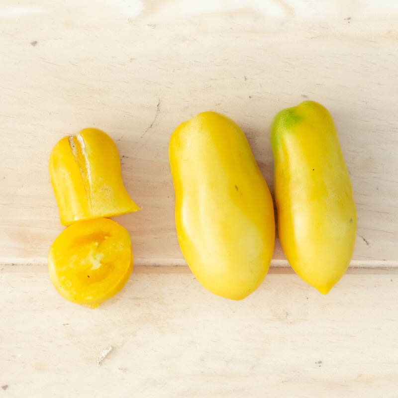 Heirloom Yellow Bell Tomatoes Organic Seeds