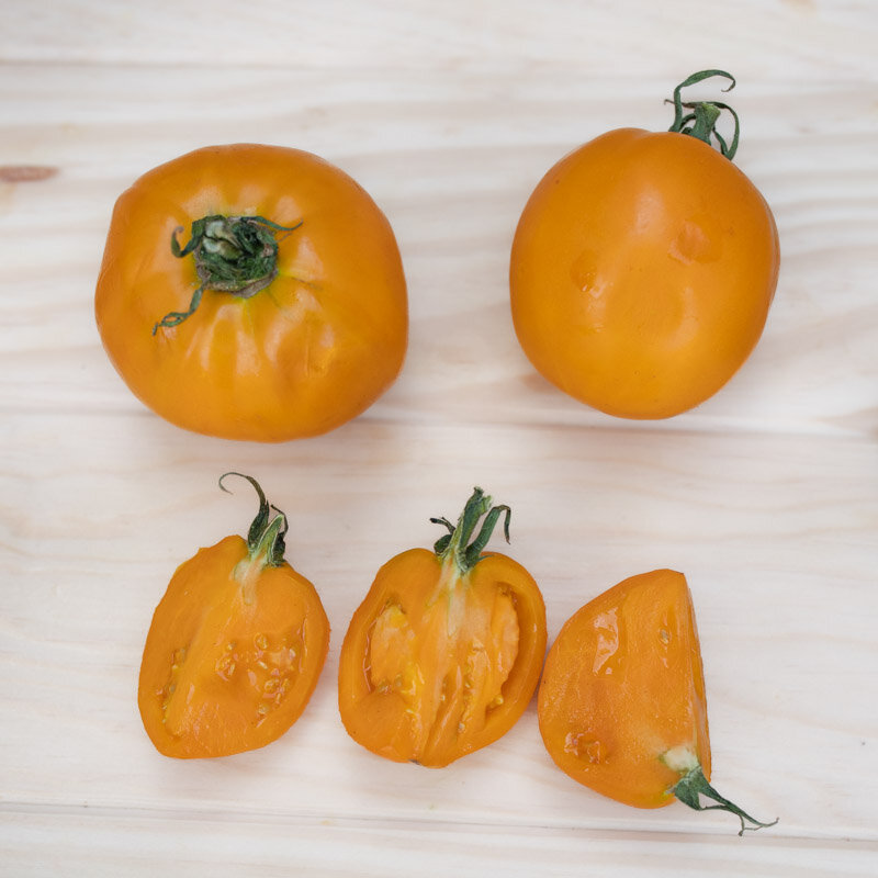 Heirloom Valencia Tomatoes Organic Seeds