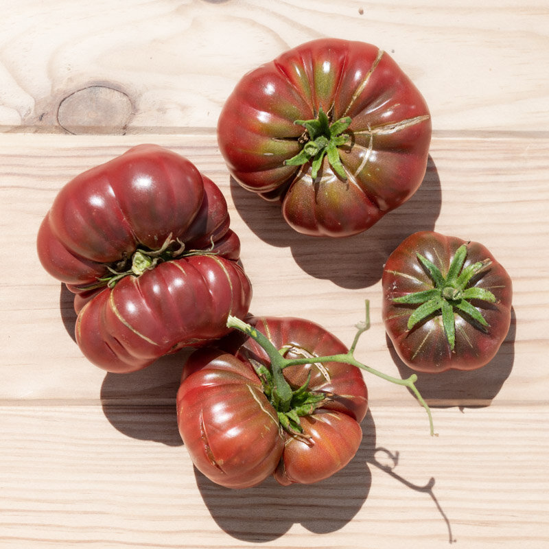 Heirloom Purple Calabash Tomatoes Organic Seeds