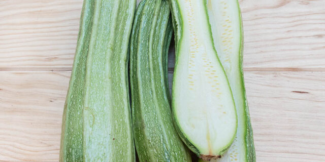 Heirloom Longue de Toscane Zucchinis Organic Seeds | Association Kokopelli