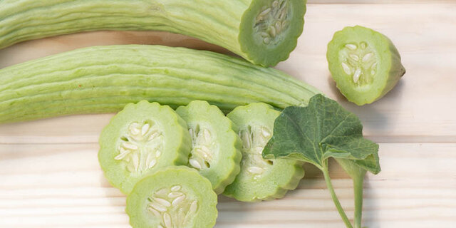 Cucumber - Tortarello Bianco Abruzzese | Association Kokopelli