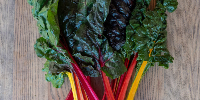 Heirloom Mixed colors Beets Organic Seeds | Association Kokopelli