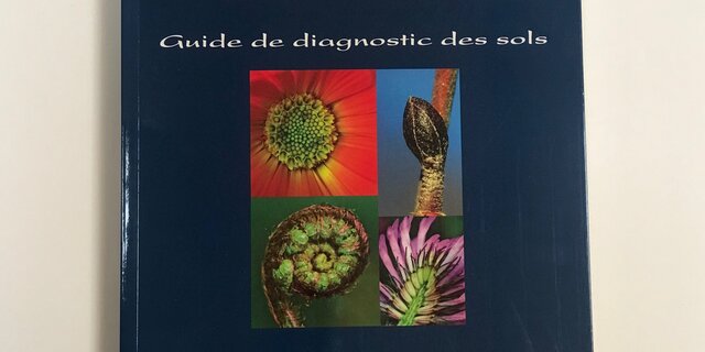 Plant Knowledge - Encyclopedia of Bio-indicating Plants, Volume 3 ...