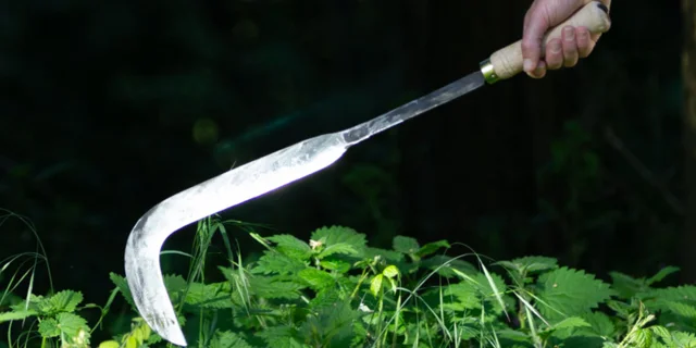 Weeding tools - Bramble cutter
