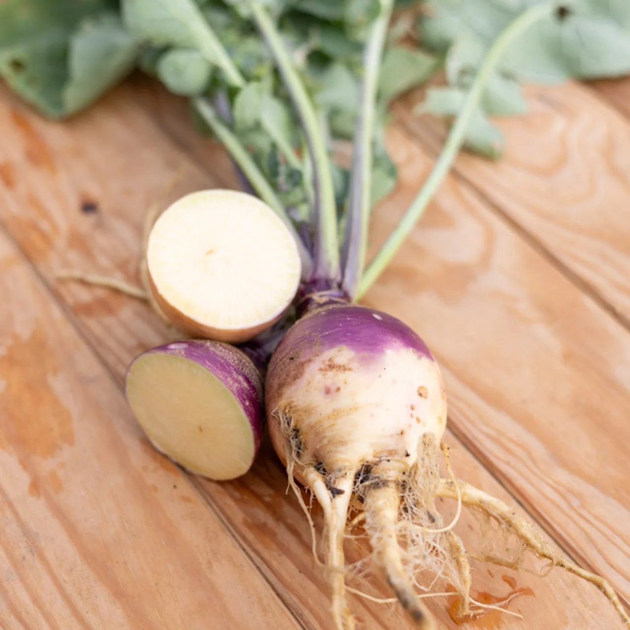 Heirloom Joan Rutabaga Organic Seeds | Association Kokopelli