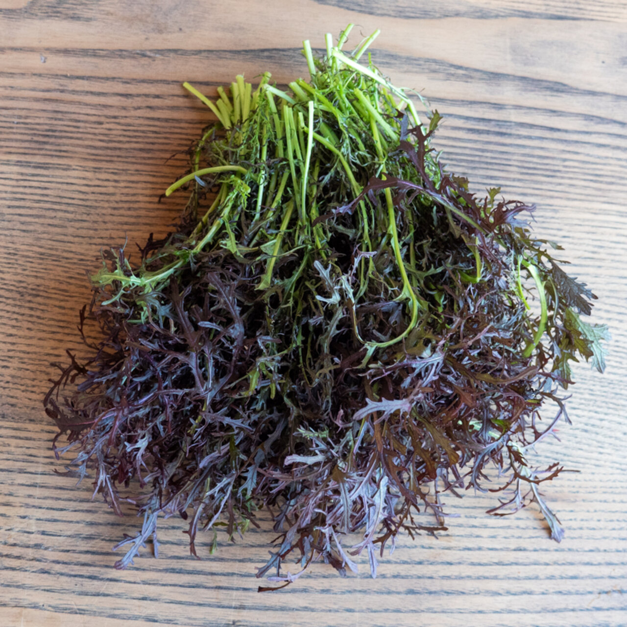 Indian mustard - Ruby Streaks | Association Kokopelli